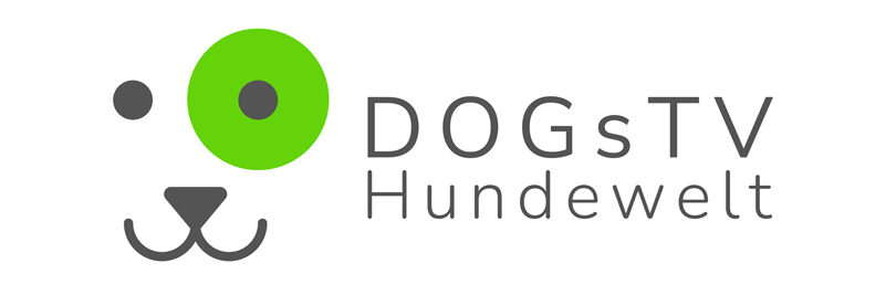 Hund markiert überall – Wenn Hunde in der Wohnung markieren - DogsTV ...